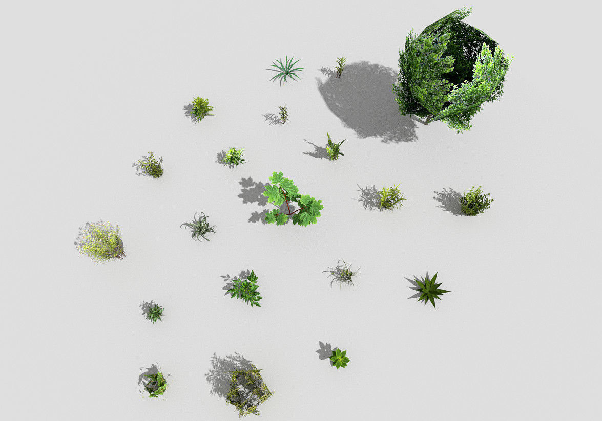 3D model low poly plants collection VR / AR / low-poly | CGTrader