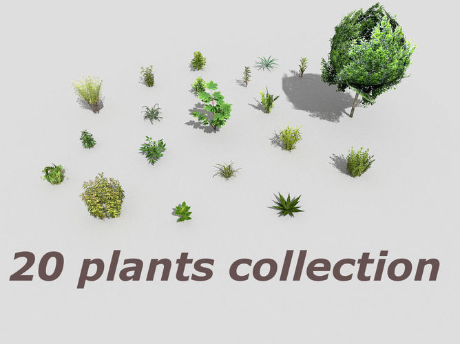 3D model low poly plants collection VR / AR / low-poly | CGTrader
