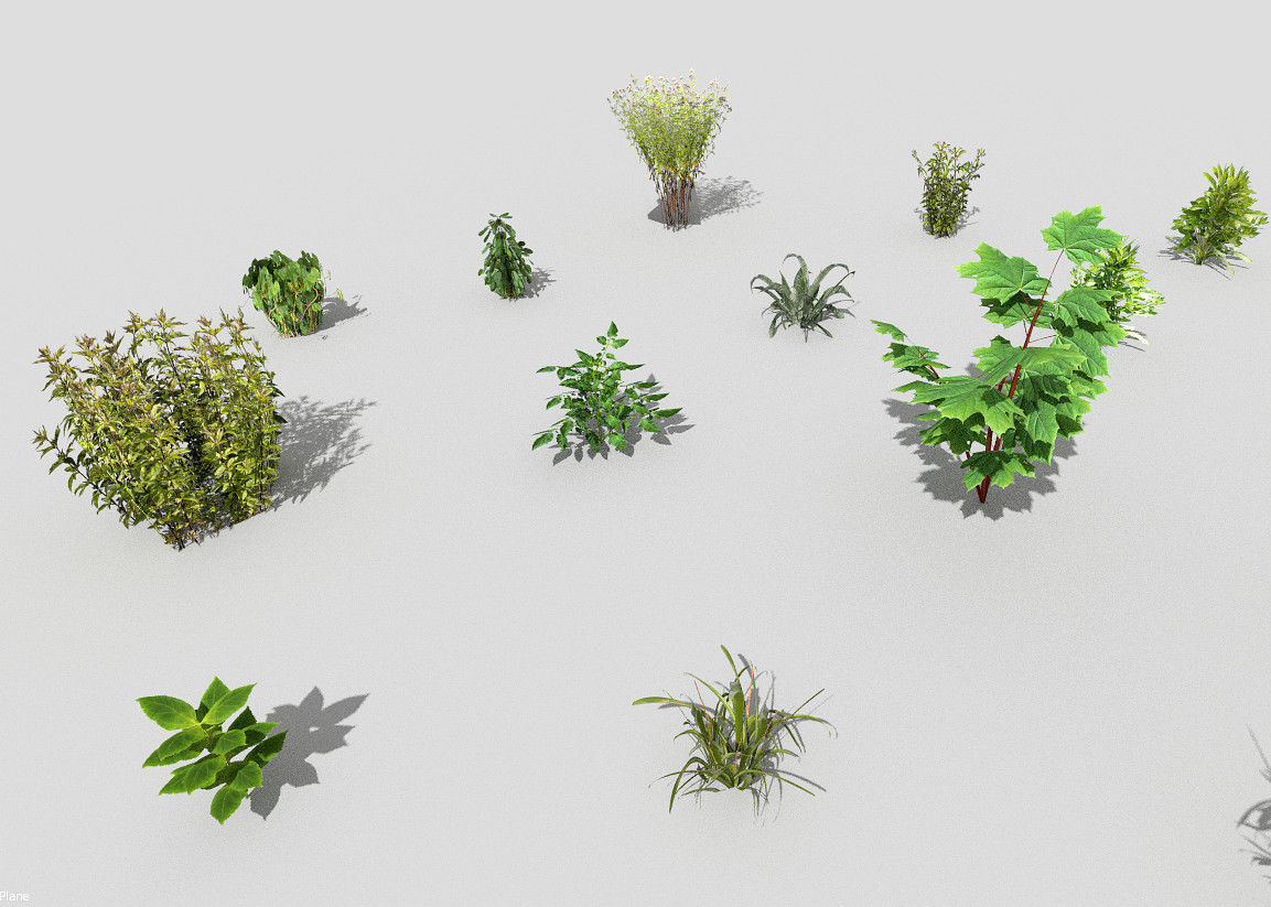 3D model low poly plants collection VR / AR / low-poly | CGTrader
