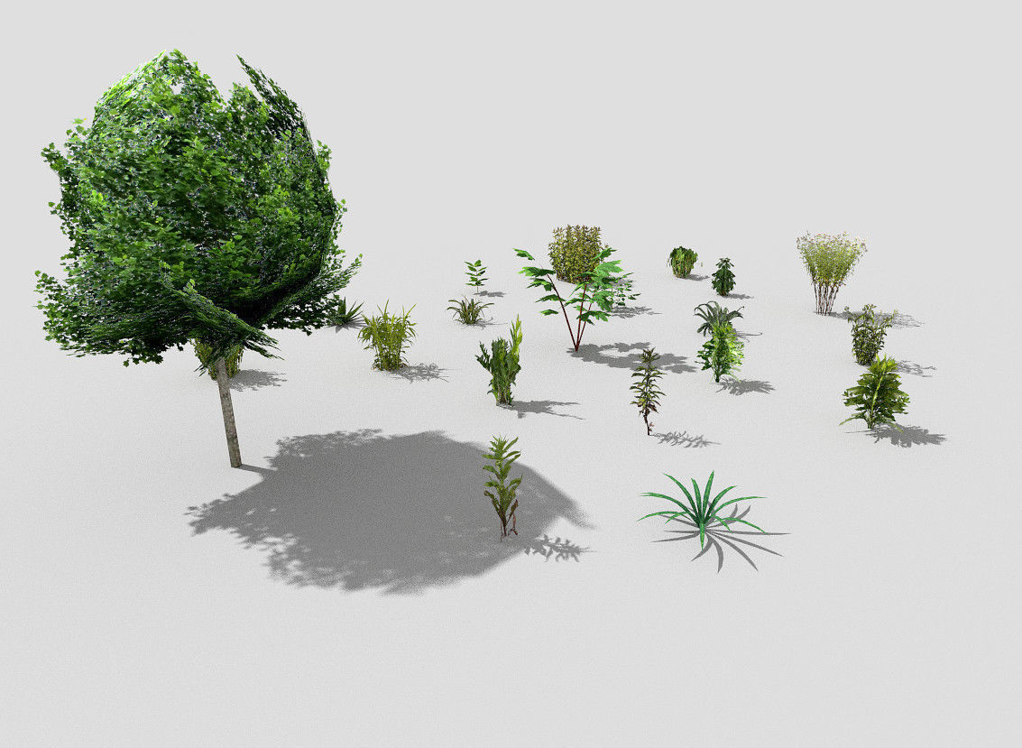 3D model low poly plants collection VR / AR / low-poly | CGTrader