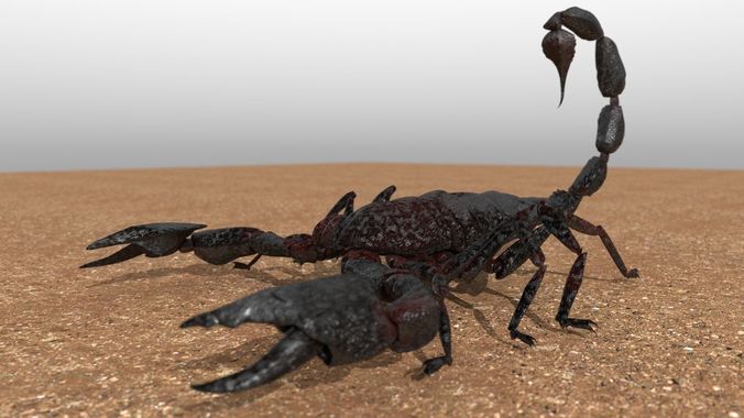 A highly detailed and UV textured 3d model of a scorpion 3D Model OBJ ...