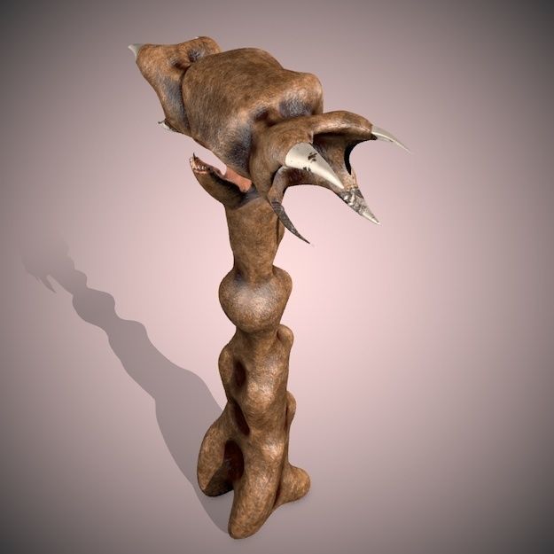 3D model hammer from a chimera skull VR / AR / low-poly animated | CGTrader