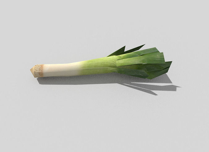 3D model low poly leek VR / AR / low-poly | CGTrader