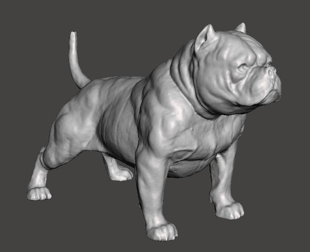 American Bully Dog 3D Model 3D printable STL - CGTrader.com