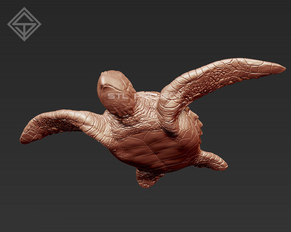 Sea Turtle 3D model 3D printable | CGTrader