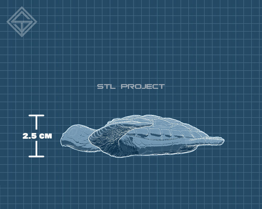 Sea Turtle 3D model 3D printable | CGTrader