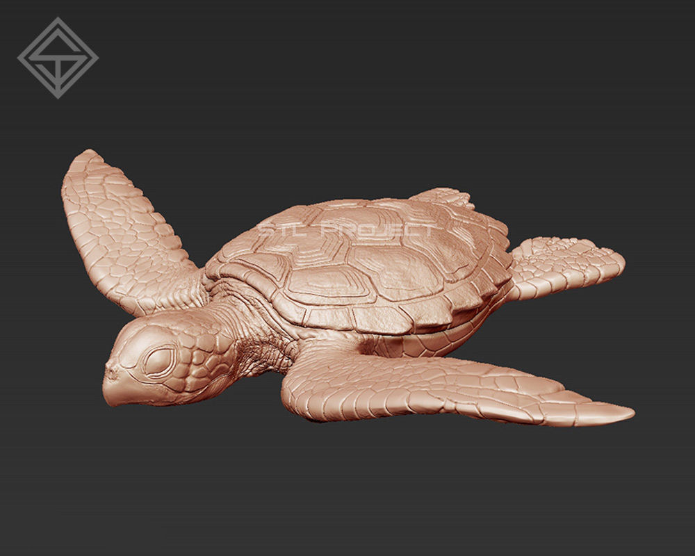 Sea Turtle 3D model 3D printable | CGTrader