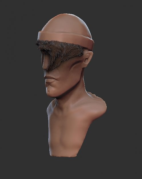 Bruce 3D model | CGTrader