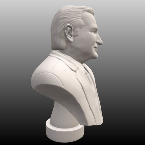 Ted Cruz 3D Model 3D printable STL | CGTrader.com
