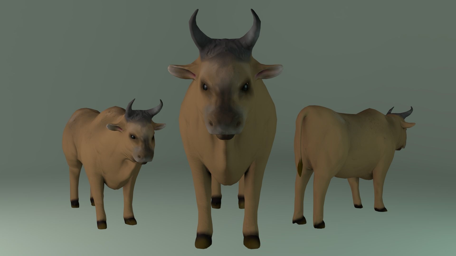 Ox Model free VR / AR / low-poly 3D model | CGTrader