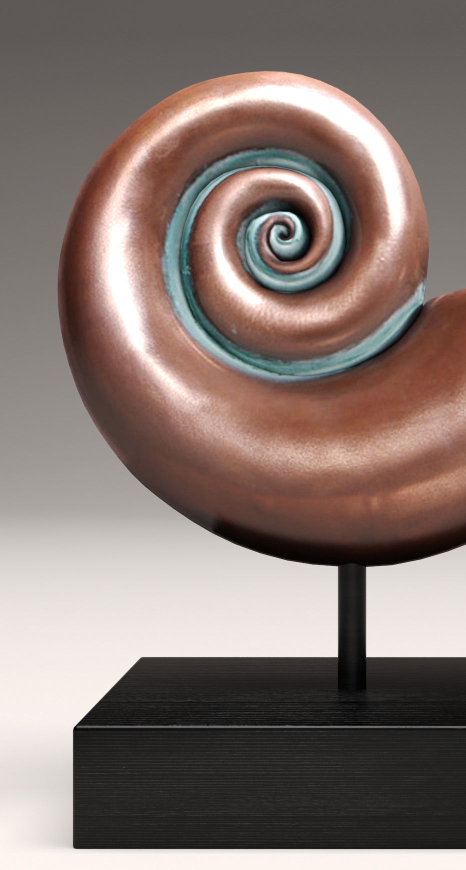 shell nautilus 3D model | CGTrader