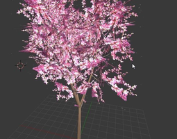 Sakura 3D Models | CGTrader