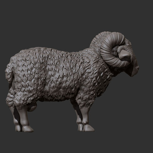 mountain ram 3D Model 3D printable OBJ STL | CGTrader.com