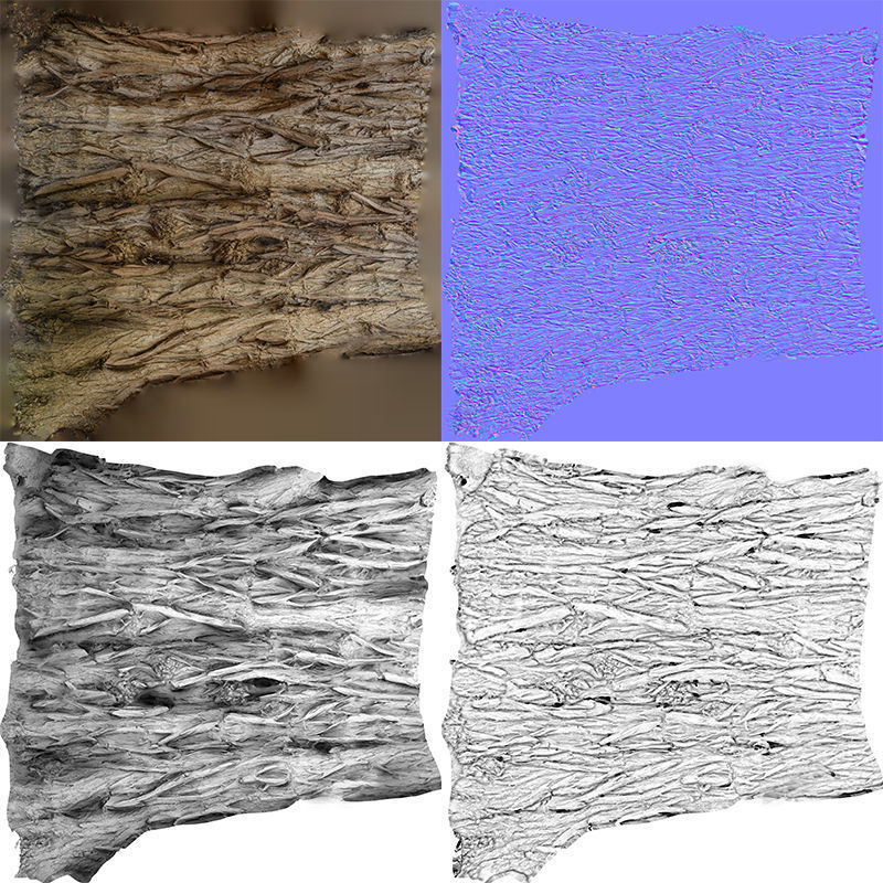 Realistic Detailed Tree Bark 3D model | CGTrader