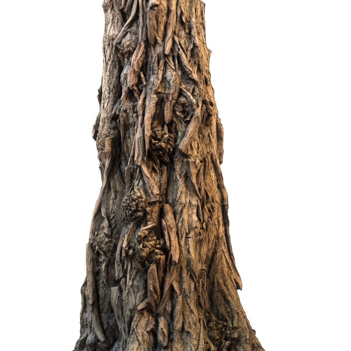 Realistic Detailed Tree Bark 3D model | CGTrader