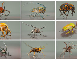 Free Insect 3D Models | CGTrader