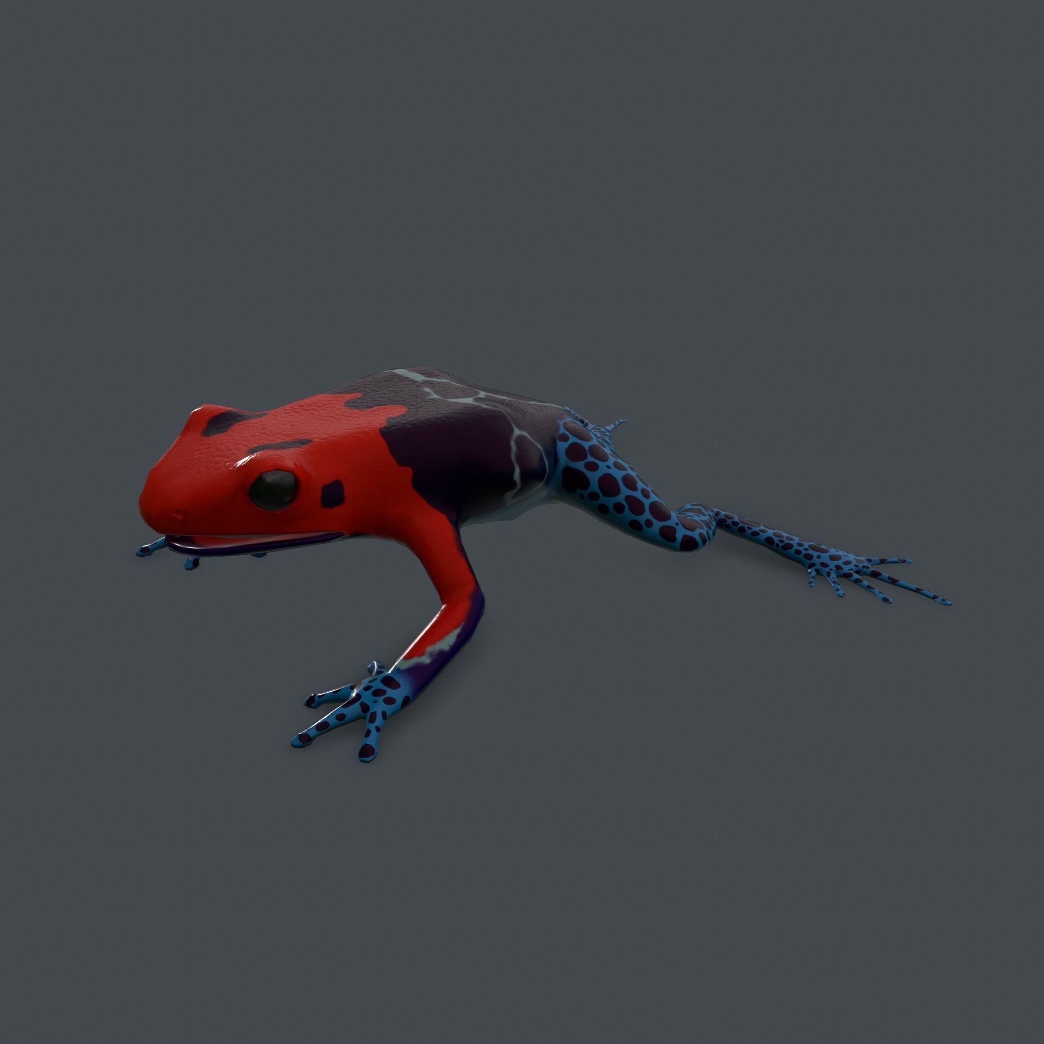 3D model Dart frog VR / AR / low-poly | CGTrader
