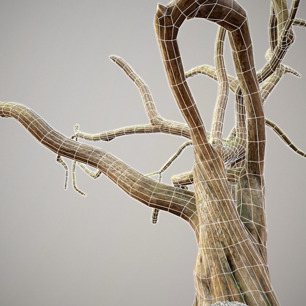 3D model Low Boly Big Tree VR / AR / low-poly | CGTrader