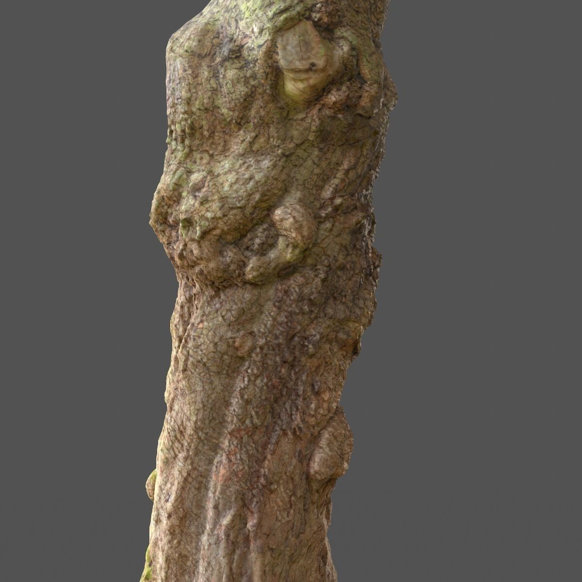 3D model Realistic Tree Model Photorealistic 9 VR / AR / low-poly ...