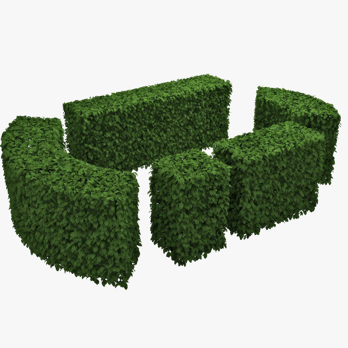 Hedge h100cm 3D Model rigged MAX OBJ FBX | CGTrader.com