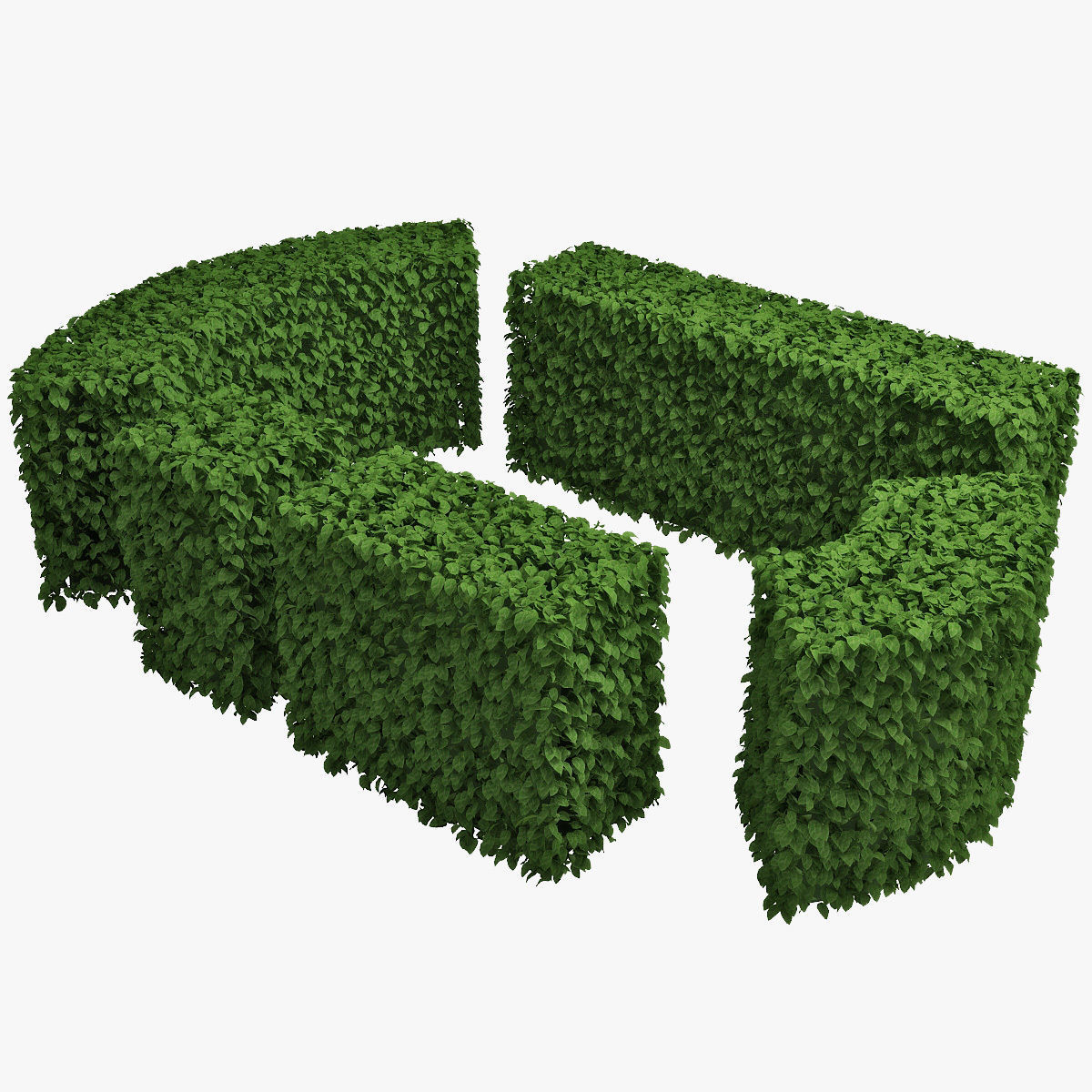 Hedge h100cm 3D model rigged | CGTrader