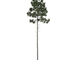 Greenery 3D Models | CGTrader