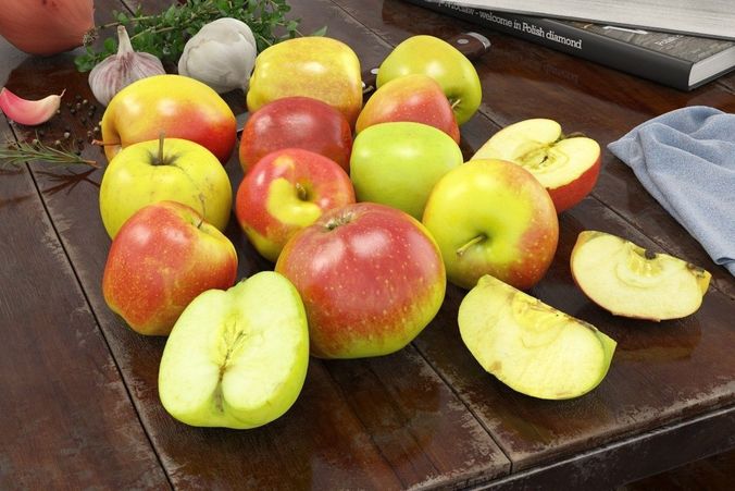 Food 46 AM170 3D model | CGTrader