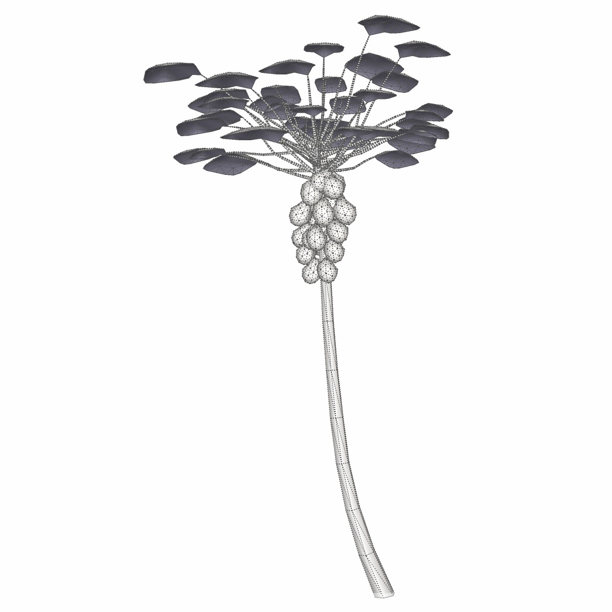 3D model Papaya Tree - 02 med poly VR / AR / low-poly rigged | CGTrader