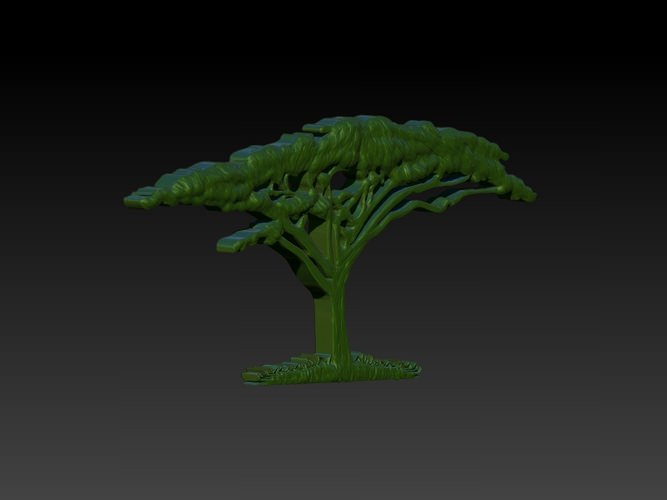 African Acacia Tree 3D Model 3D printable OBJ STL | CGTrader.com