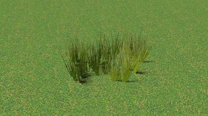 Green Grass Patch free VR / AR / low-poly 3D model | CGTrader