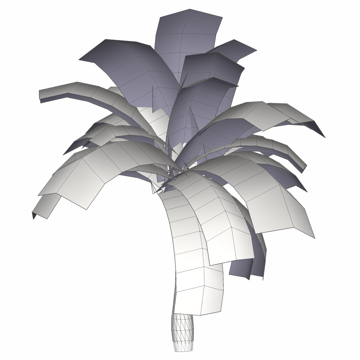 3D model Coconut Palm Tree - 03 med poly VR / AR / low-poly | CGTrader