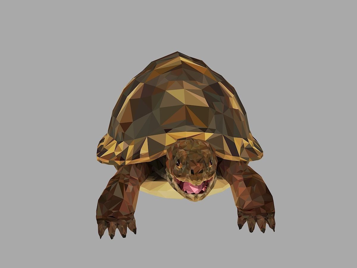 3D model Reptile Turtle Low Polygon Art Animal VR / AR / low-poly ...