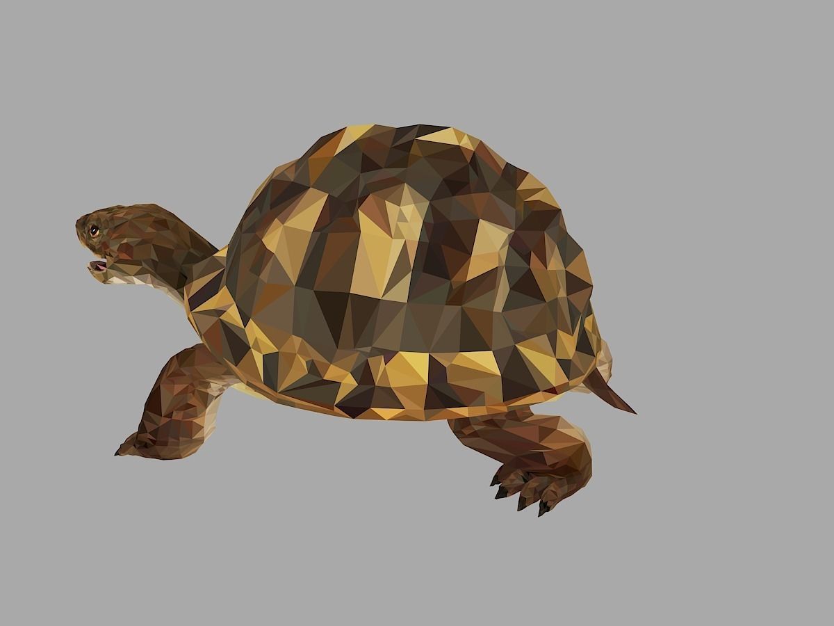 3D model Reptile Turtle Low Polygon Art Animal VR / AR / low-poly ...