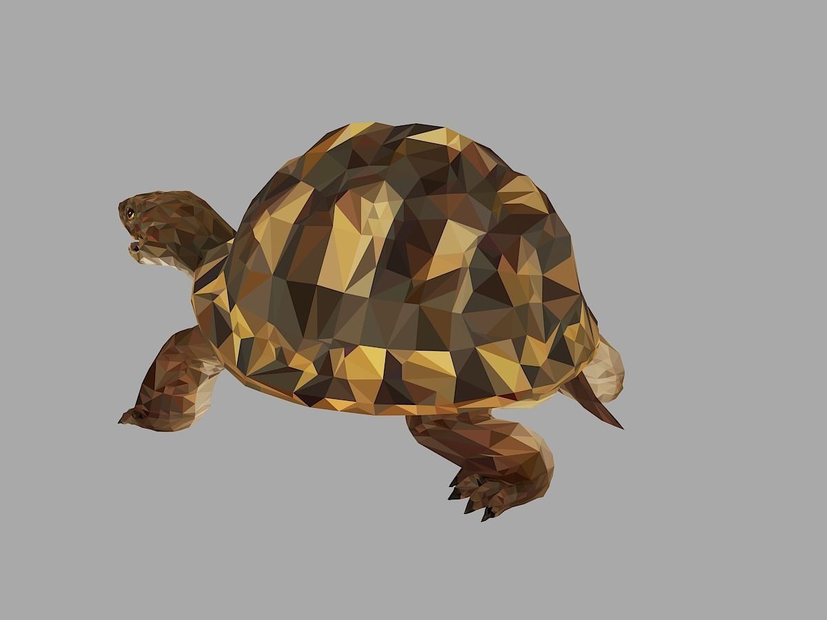 3D model Reptile Turtle Low Polygon Art Animal VR / AR / low-poly ...