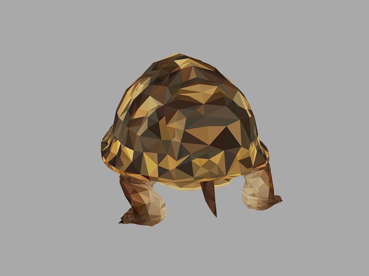 3D model Reptile Turtle Low Polygon Art Animal VR / AR / low-poly ...
