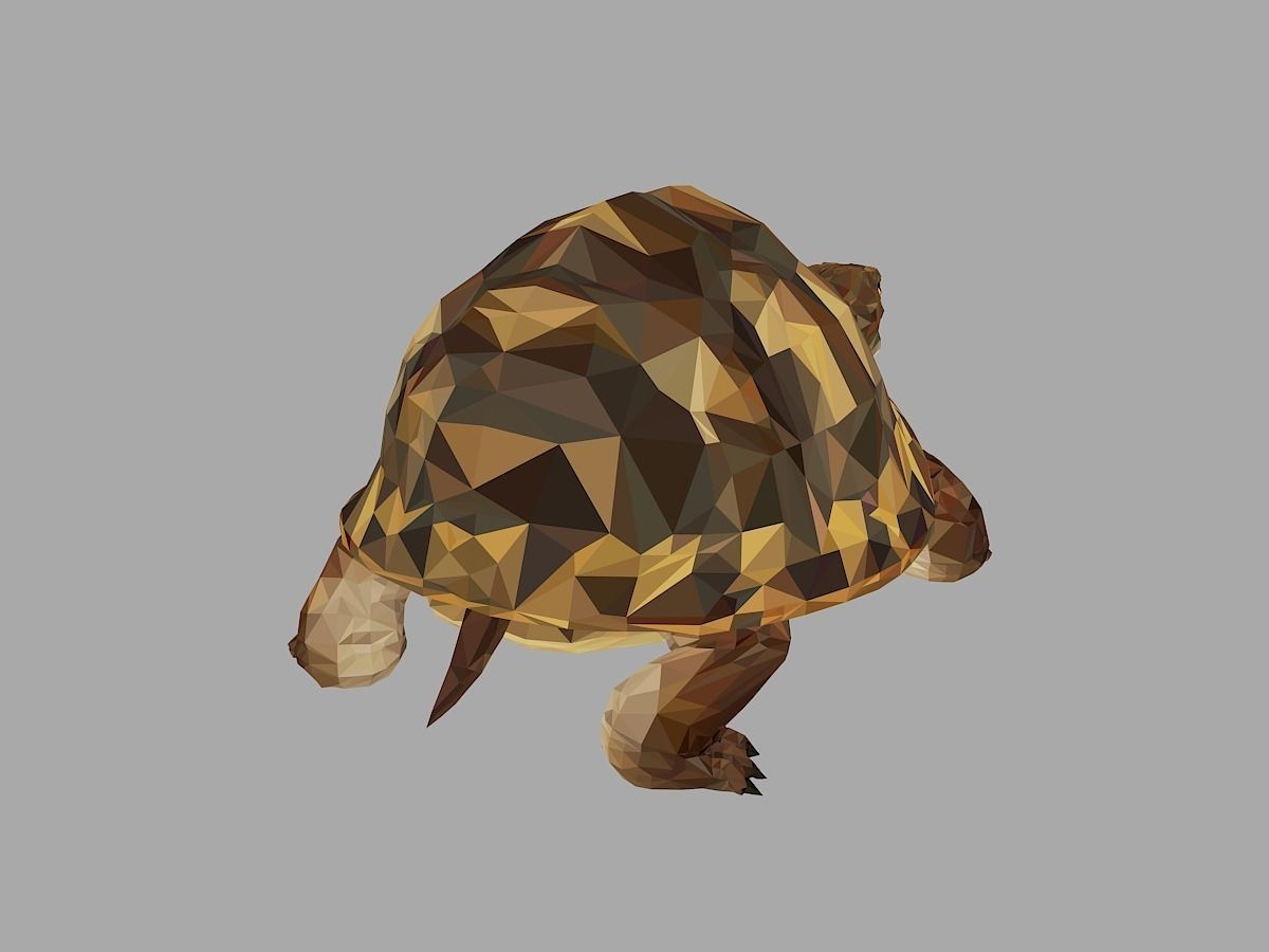 3D model Reptile Turtle Low Polygon Art Animal VR / AR / low-poly ...