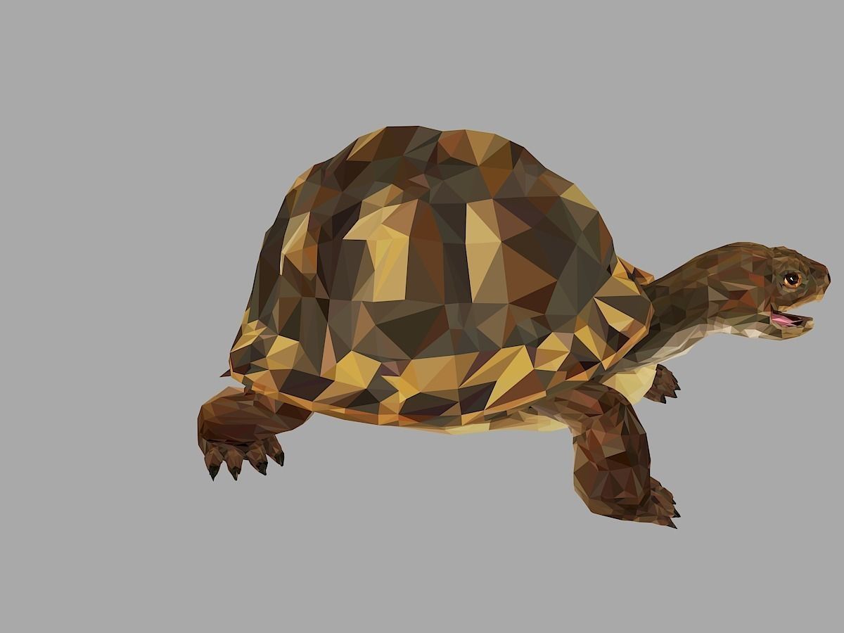 3D model Reptile Turtle Low Polygon Art Animal VR / AR / low-poly ...