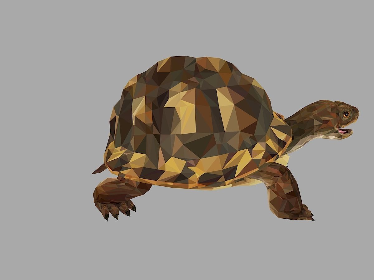 3D model Reptile Turtle Low Polygon Art Animal VR / AR / low-poly ...