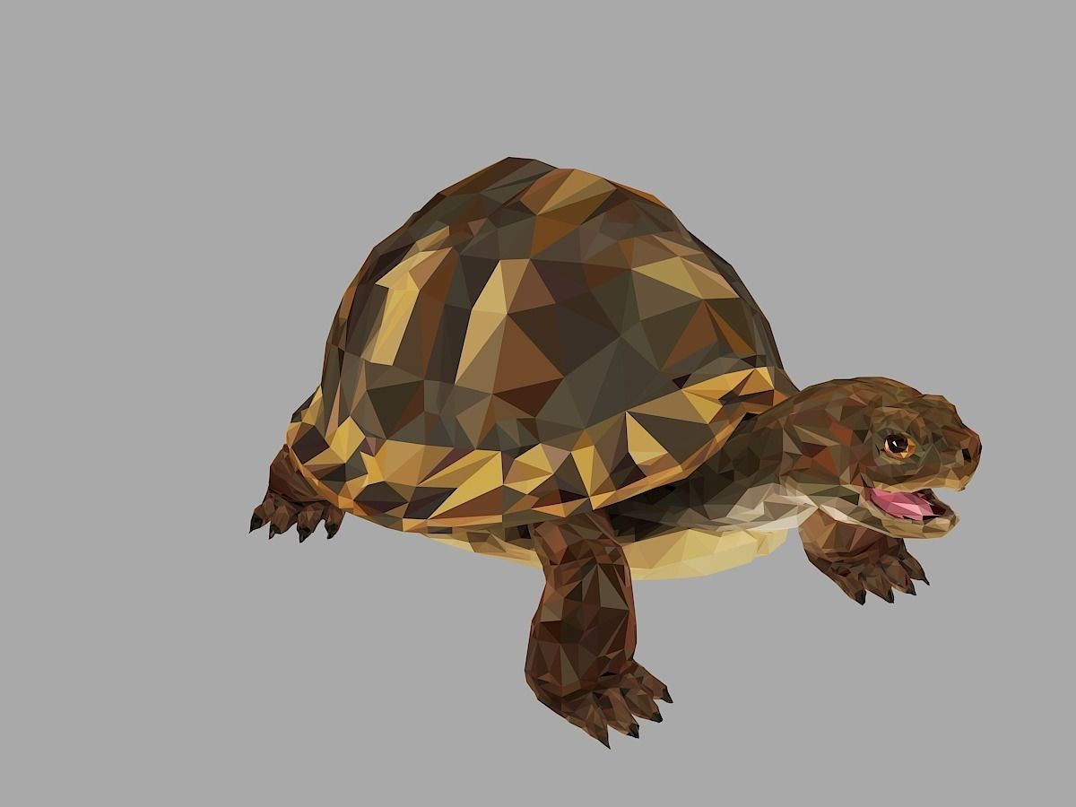 3D model Reptile Turtle Low Polygon Art Animal VR / AR / low-poly ...