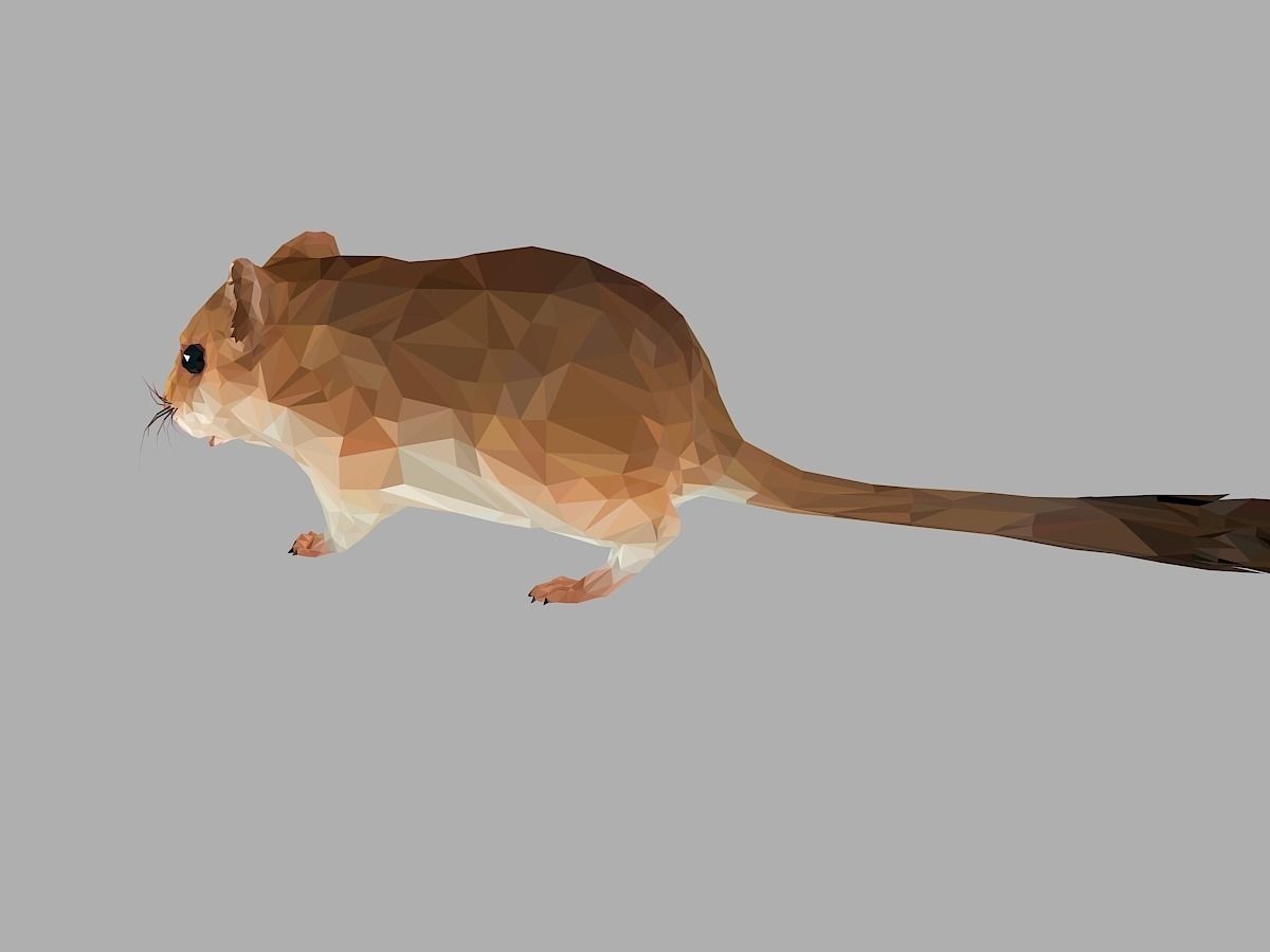 3D model Sand Mouse Low Polygon Art Animal maus VR / AR / low-poly ...