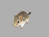 3D model Grey Sand Mous Low Polygon Art Animal Mouse VR / AR / low-poly ...