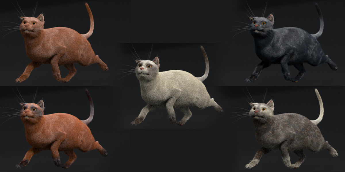 Customizable Rigged Cat 3D model rigged | CGTrader