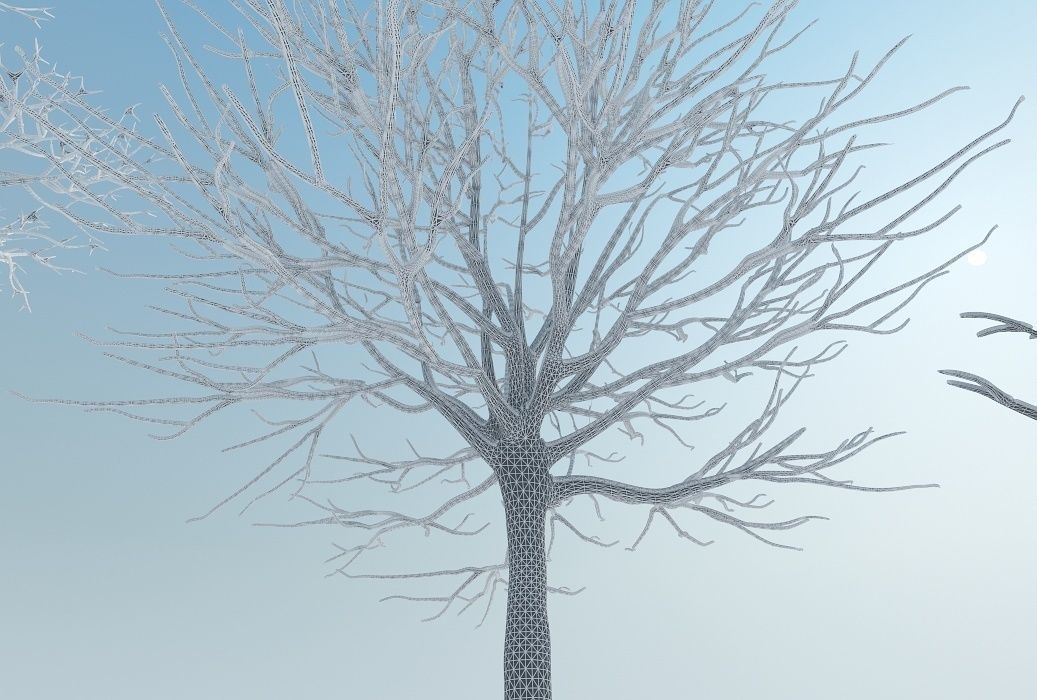 snow trees collection 3D model | CGTrader