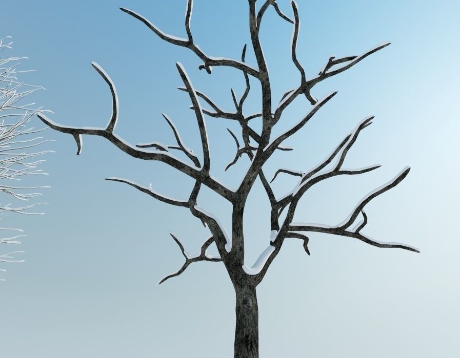 snow trees collection 3D model | CGTrader