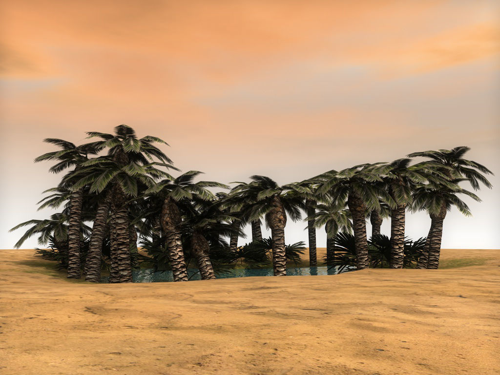 3D model Low Poly oasis desert island with palm trees VR / AR / low ...