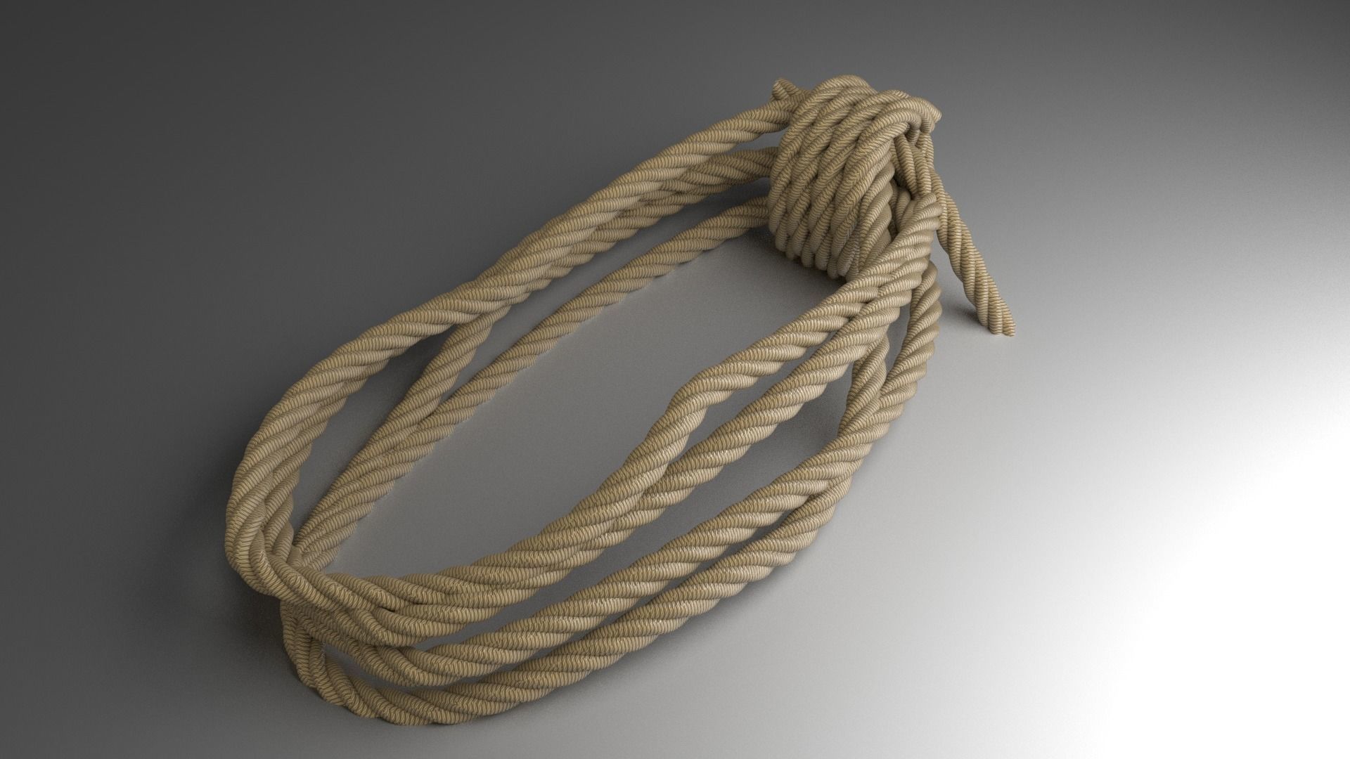 COILED ROPE 3D model | CGTrader