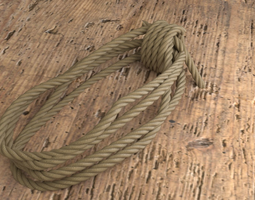Ropes free 3D Model MAX | CGTrader.com