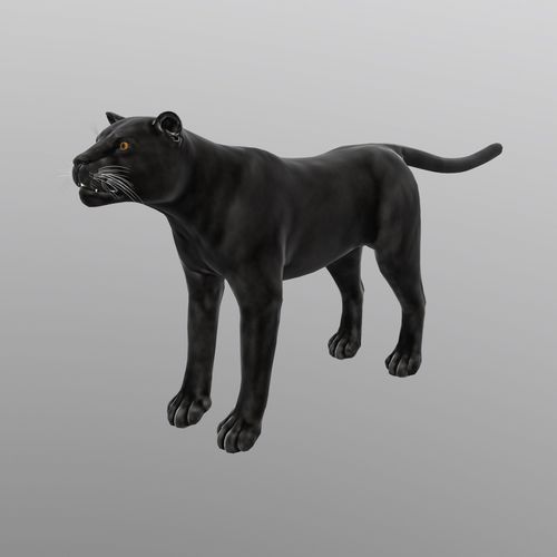 3D model Panther - lowpoly 3d model VR / AR / low-poly | CGTrader