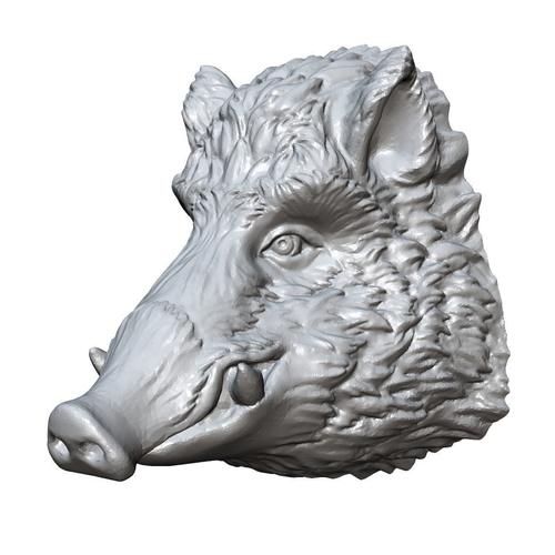 boar head sculpture 3D Model 3D printable OBJ STL | CGTrader.com