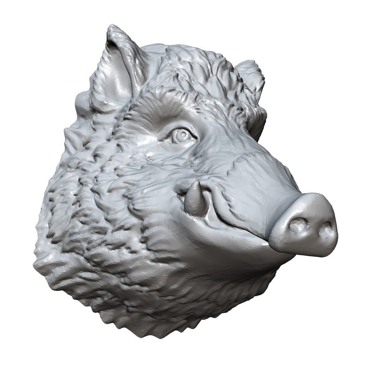boar head sculpture 3D model 3D printable | CGTrader